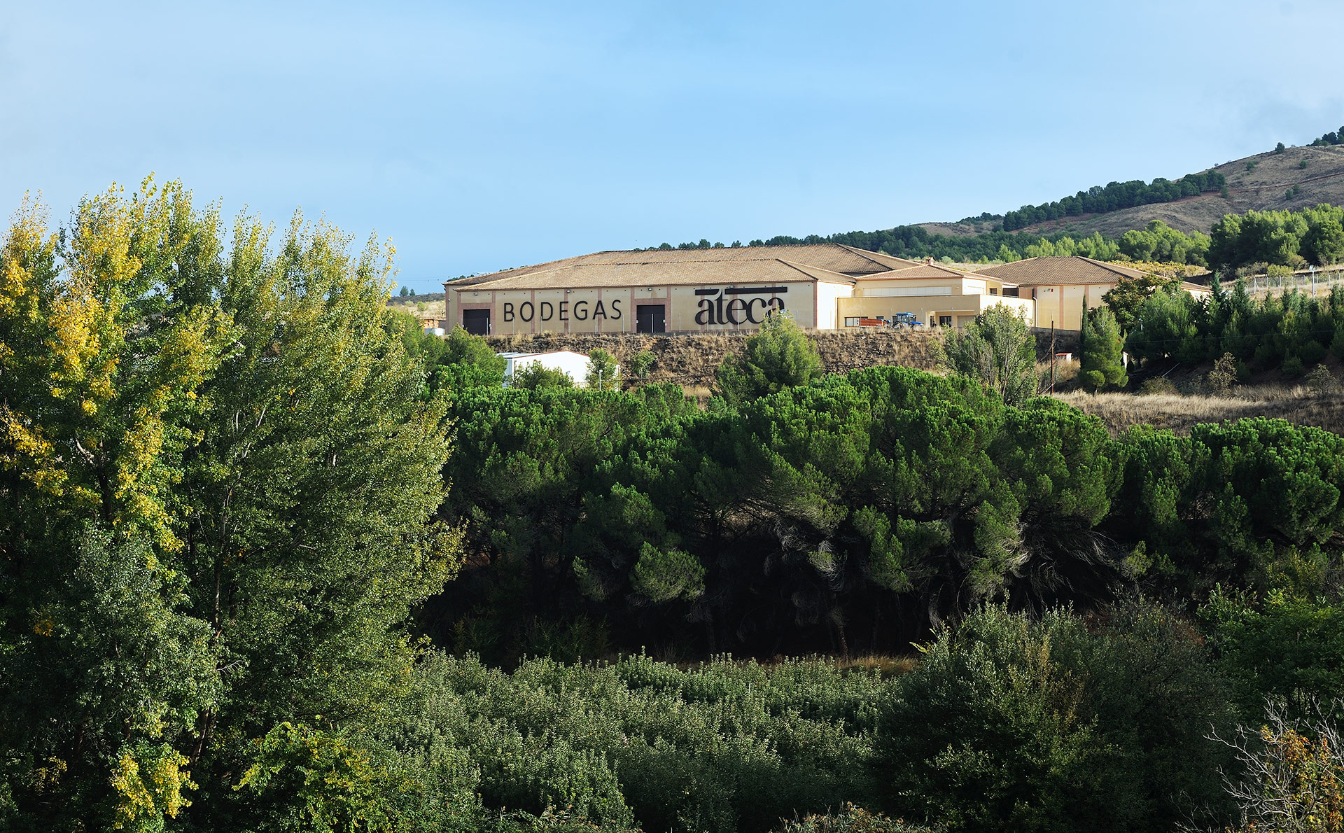 Bodegas | Página Oficial de la Denominación de Origen Protegida ...